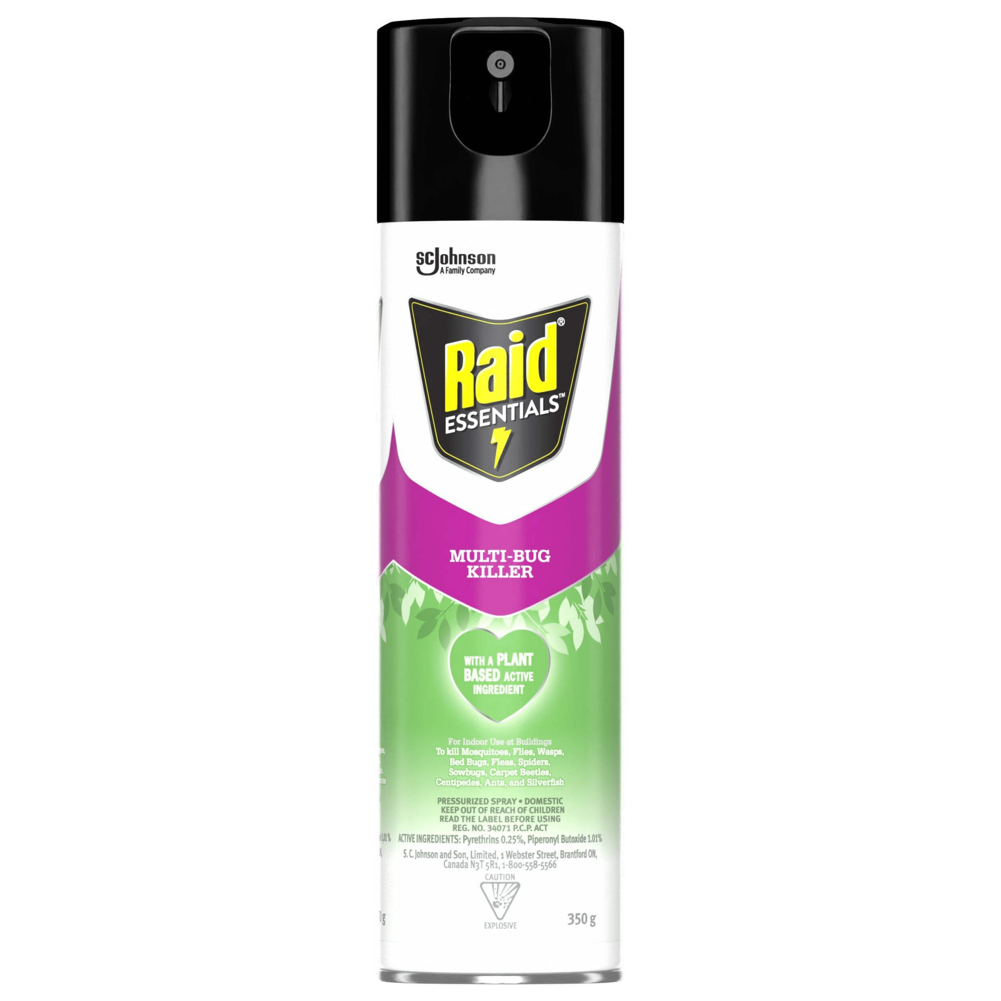 Raid Essentials 多虫杀手 (350g) | Brandco Direct Inc