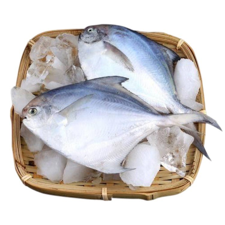 Fresh Frozen Pomfret Fish (2 pieces) | Brandco Direct Inc